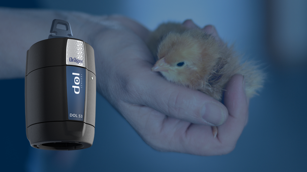 Climate sensors poultry - dol-sensors